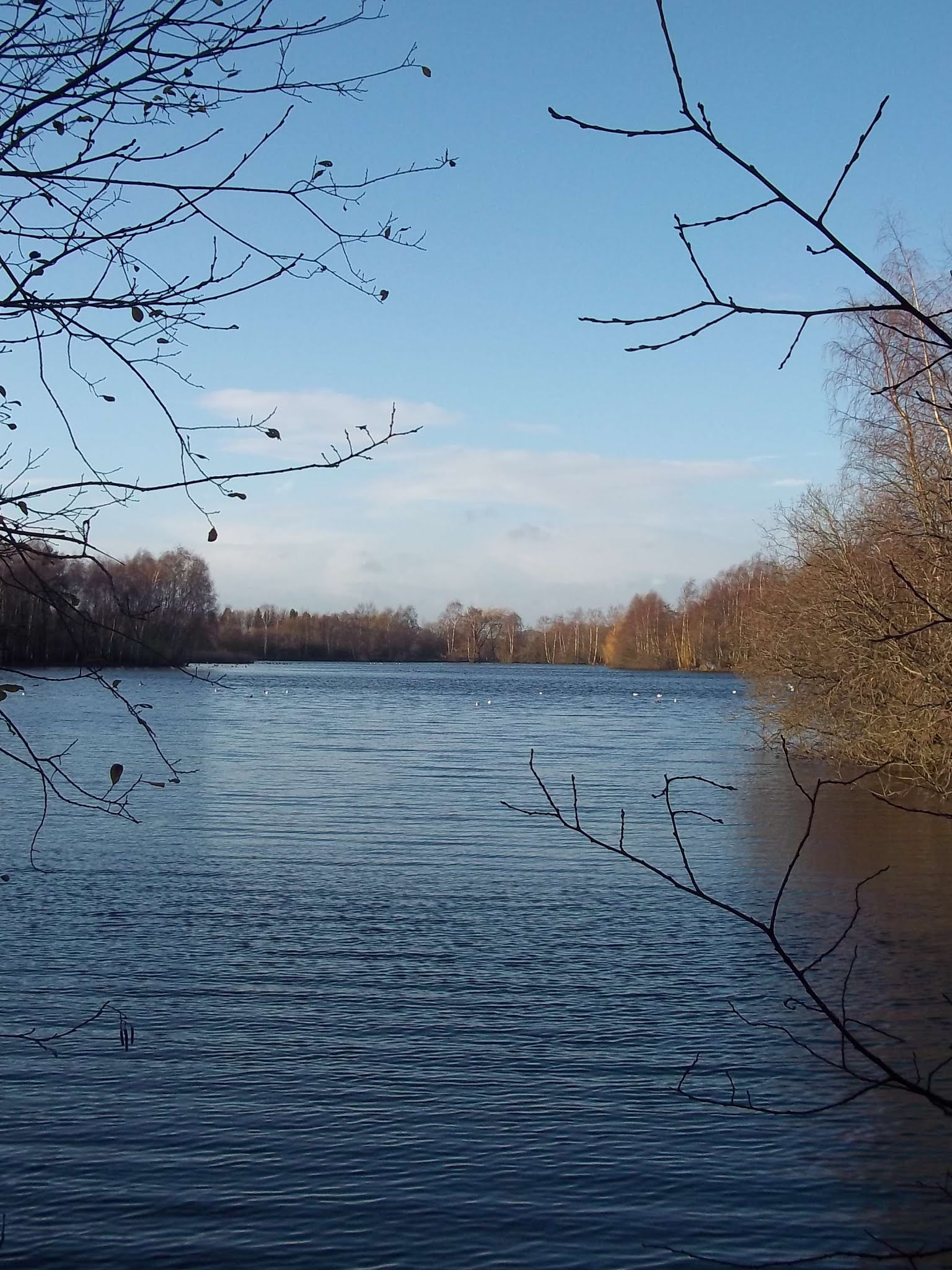 Walking The Peak: Ranskill, Daneshill Lakes, Idle Valley Nature Reserve ...