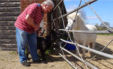 Cornwall, Devon and Dorset Police Dog Section: Police pup Boris says a ...