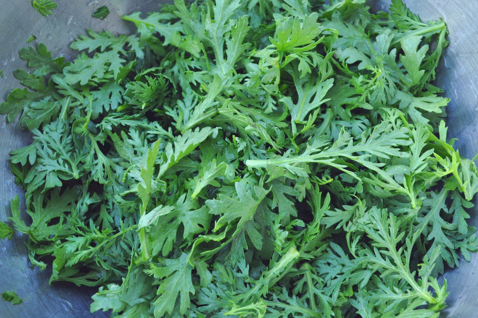 vegan ascent: Tung Ho