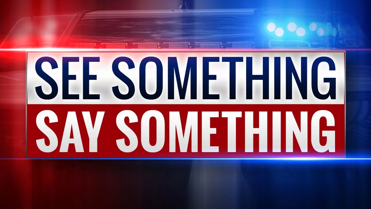 Chesbro on Security: See Something - Say Something?