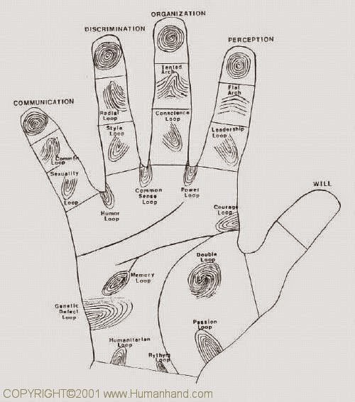 Gaya Belajar & Fingerprint Test (Analisa Sidik Jari) ~ HOUSE OF SUCCESS