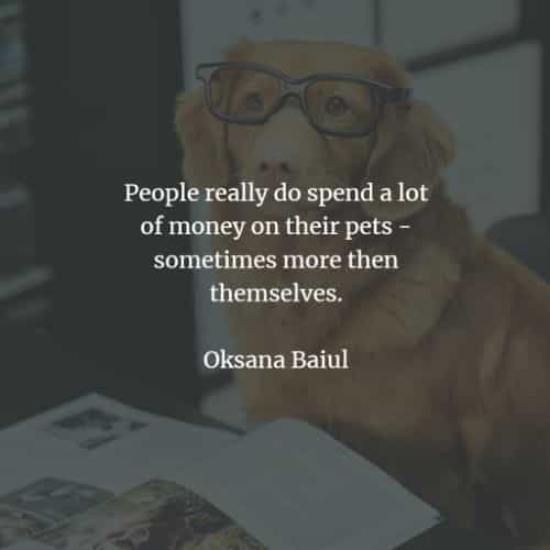 40 Pet quotes and sayings that inspire a love for animals