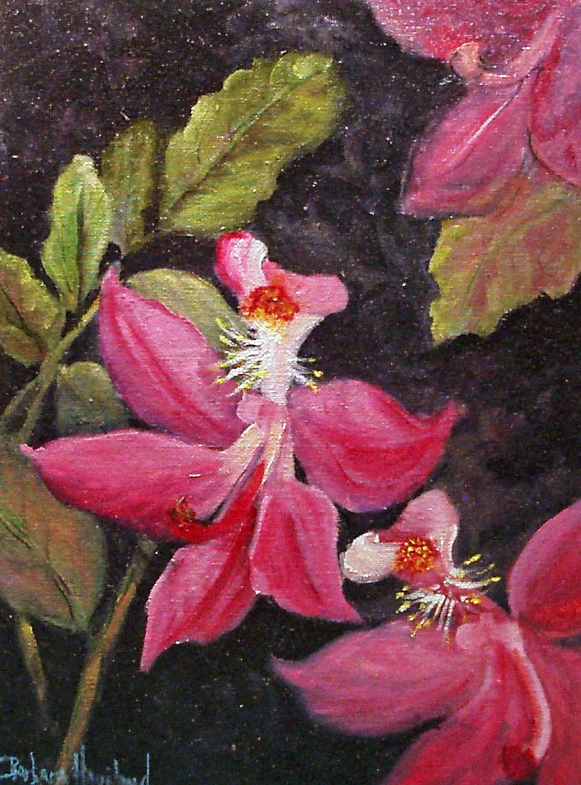 Still Life Artists International: Swamp Pink Bayou Flower,oils on ...