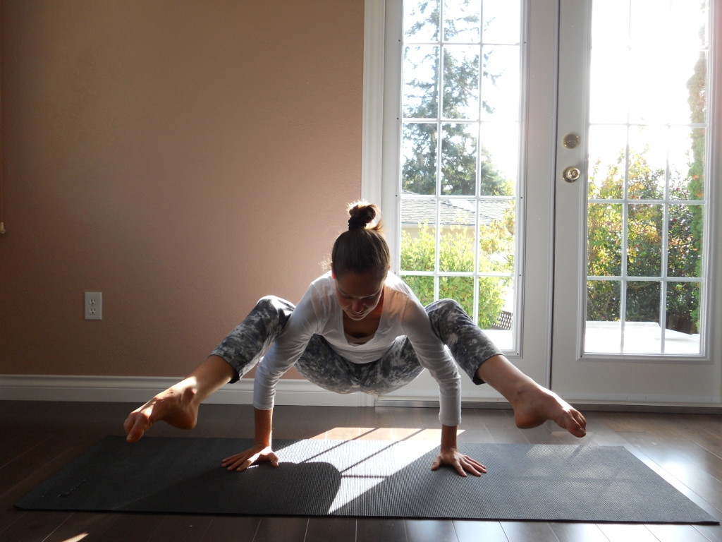 Snacking Squirrel: Tittibhasana Yoga Pose