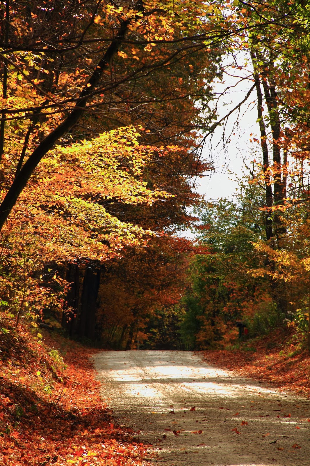 Ambience on a Budget: Covered Bridge Festival