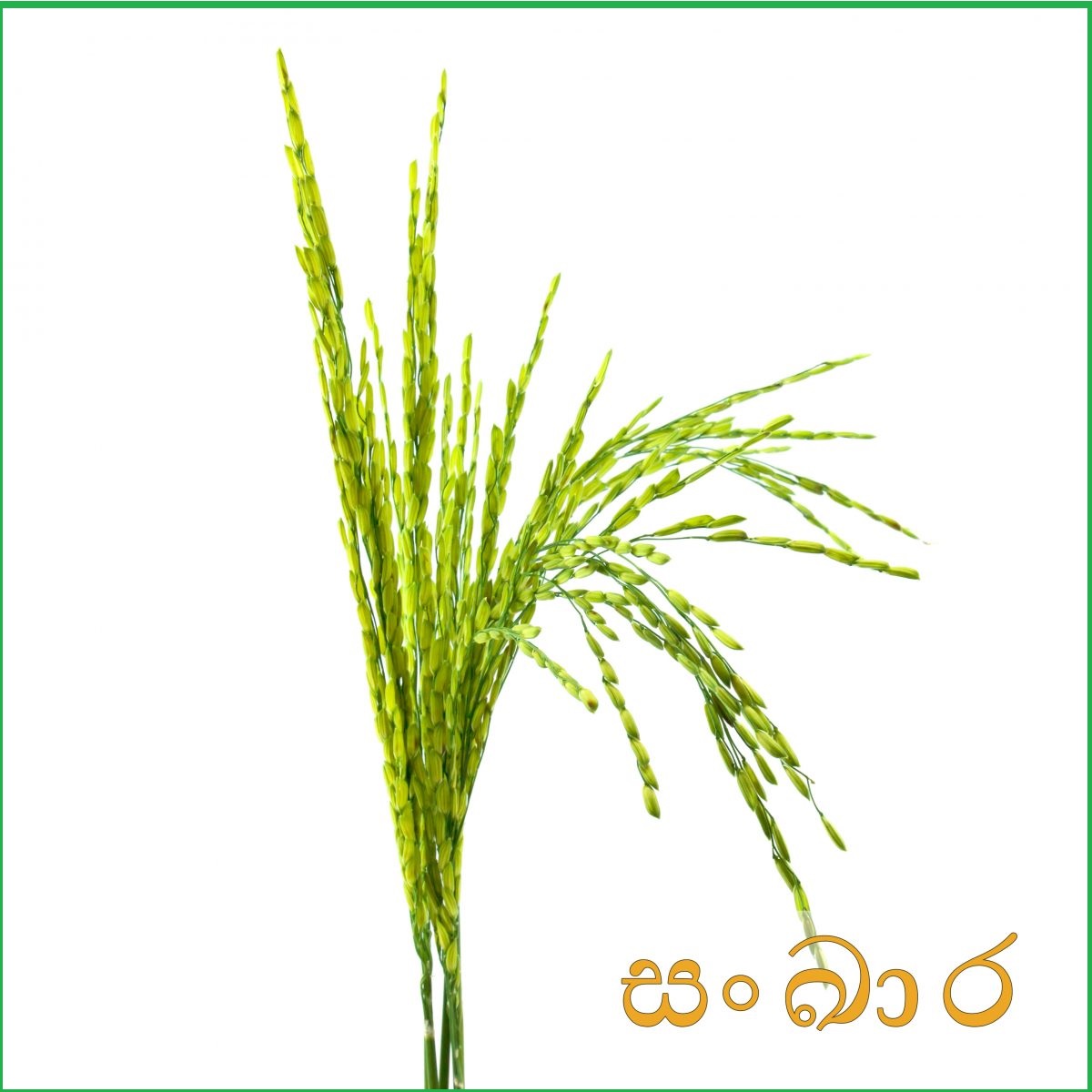 නිවහන[Home]