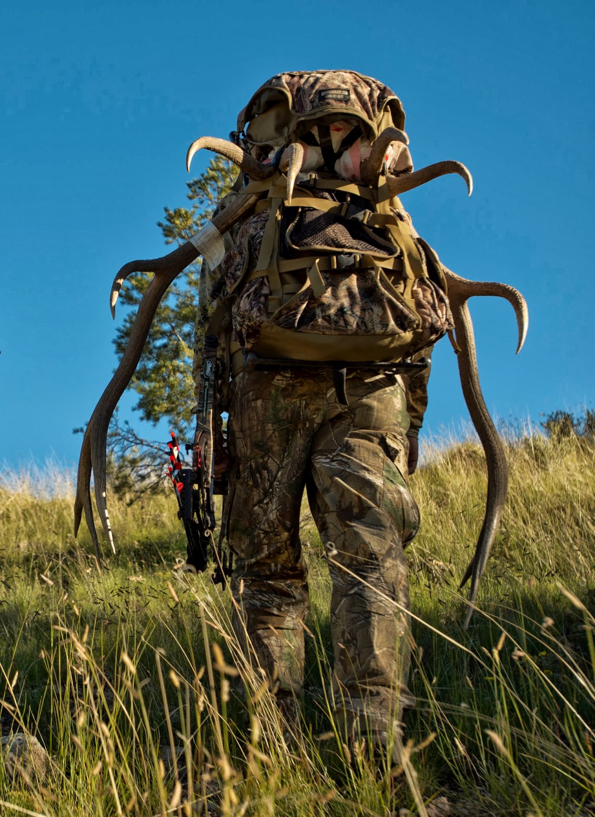 Jay Scott Outdoors: Bryan Otts Unit 9 Arizona Elk Hunt with Colburn and ...