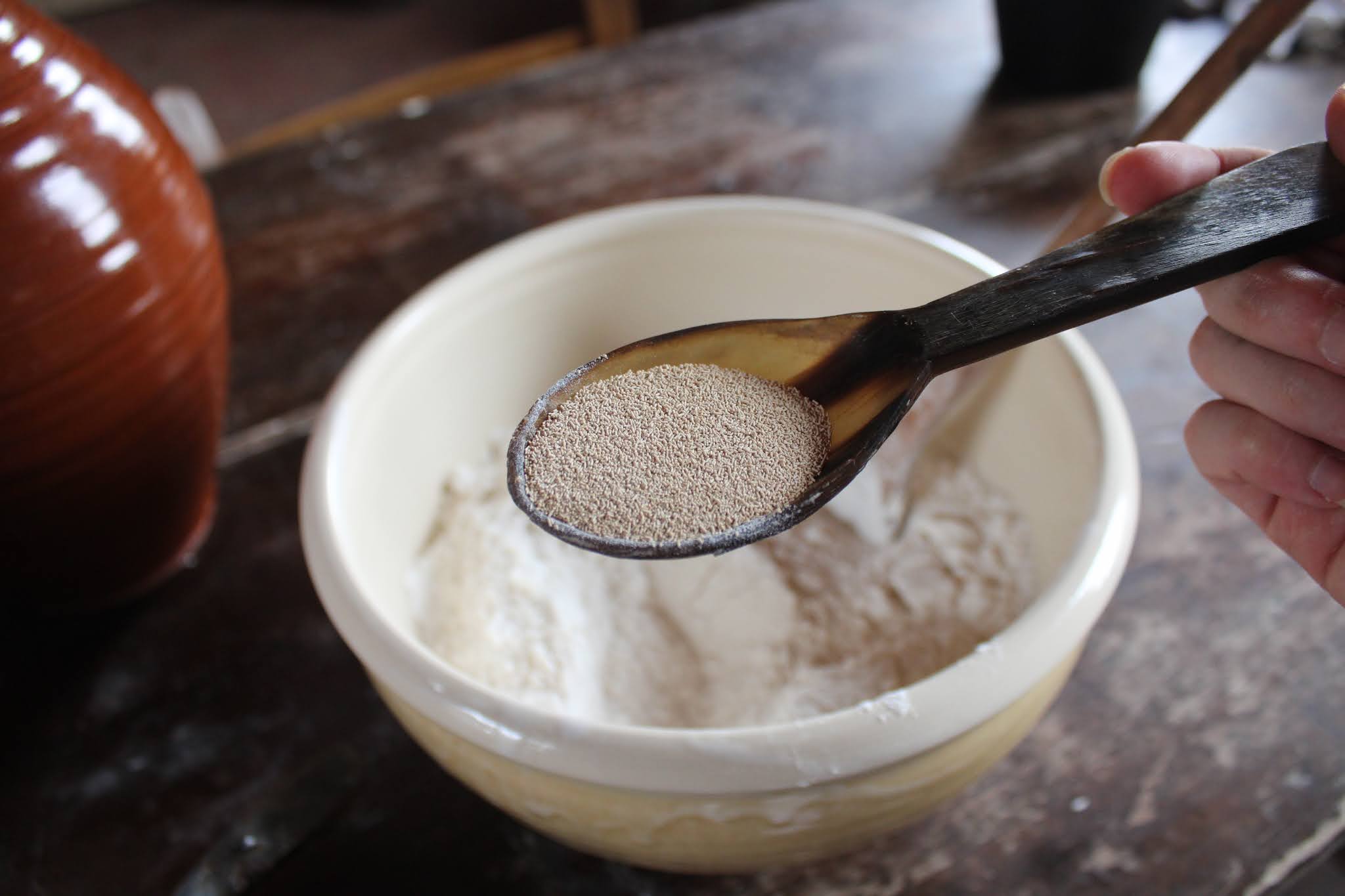 Early American Cooking