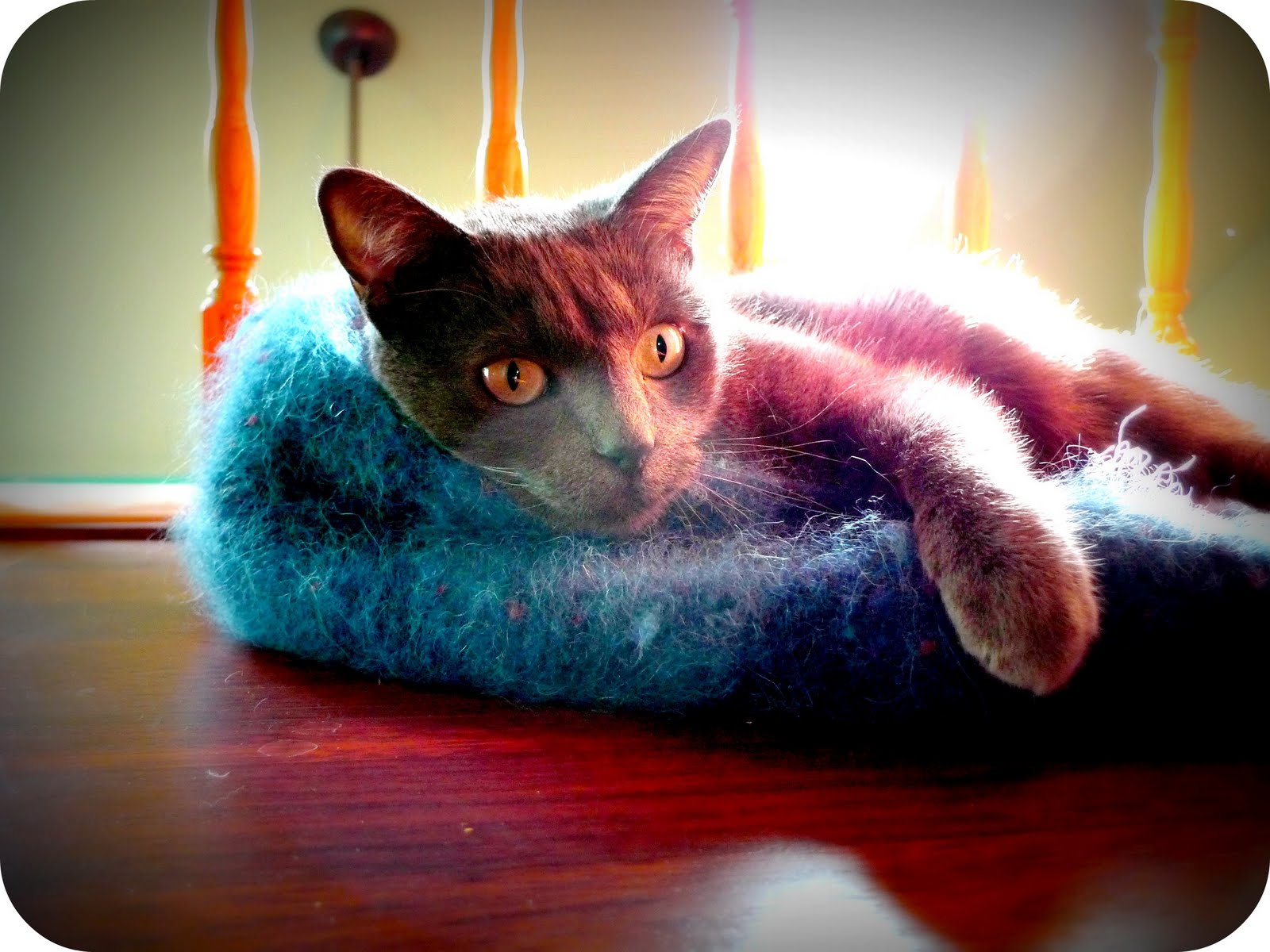 Ranger Sarah: Finished: Kitty Pi Bed