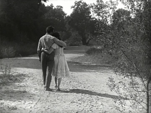 Laura's Miscellaneous Musings: Tonight's Movie: The Kid Brother (1927)