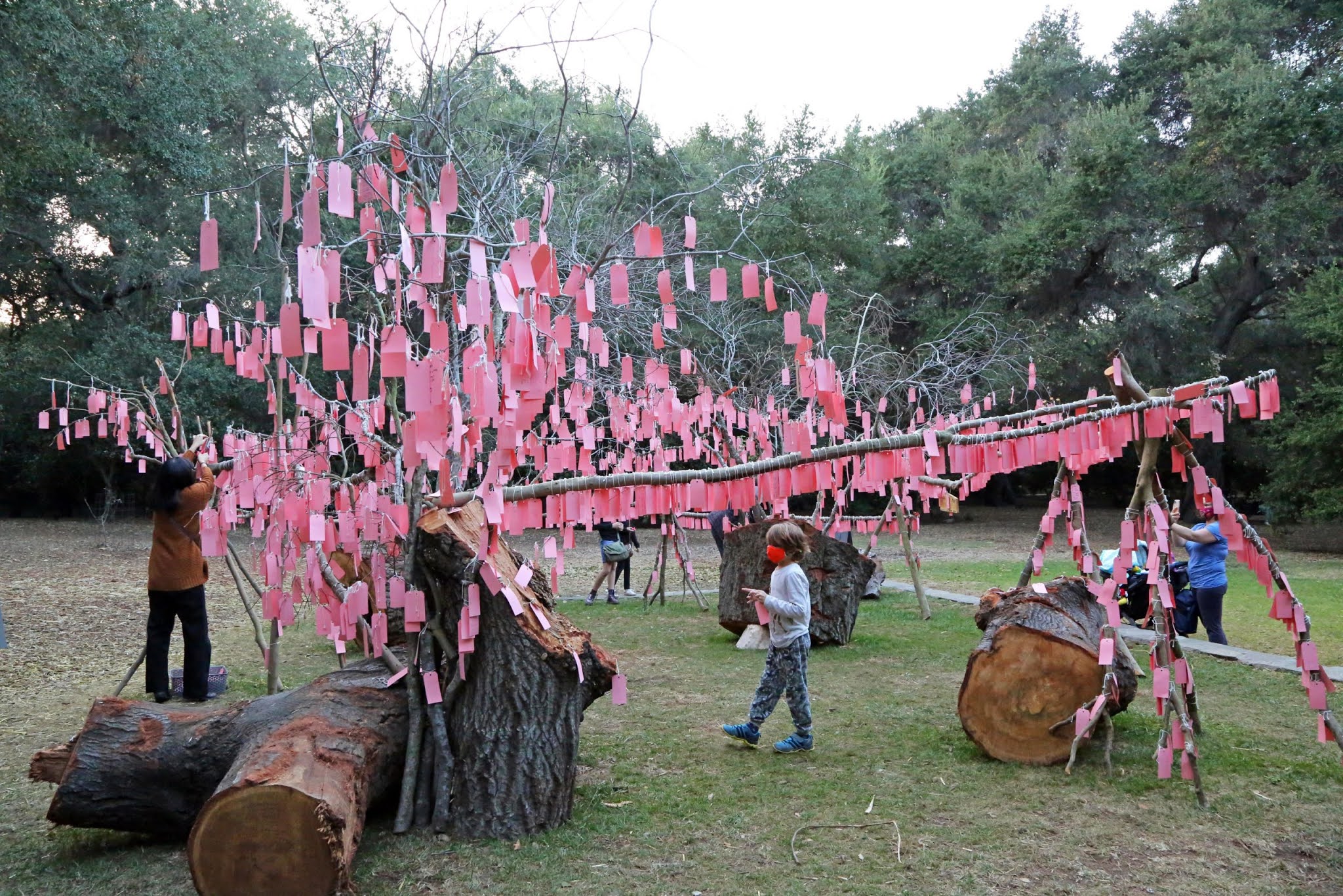 INBUILT LANDSCAPE: Wishing Trees