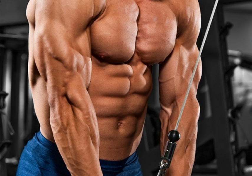 Guía para hacer tu rutina básica de tríceps