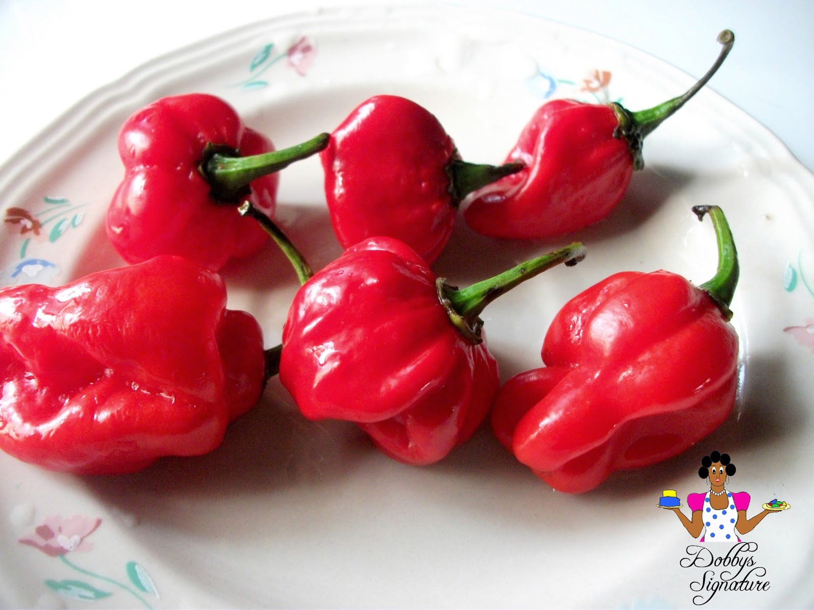 Aheh....: NIGERIA: Lagos: Ata Rodo (Scotch Bonnet Pepper)