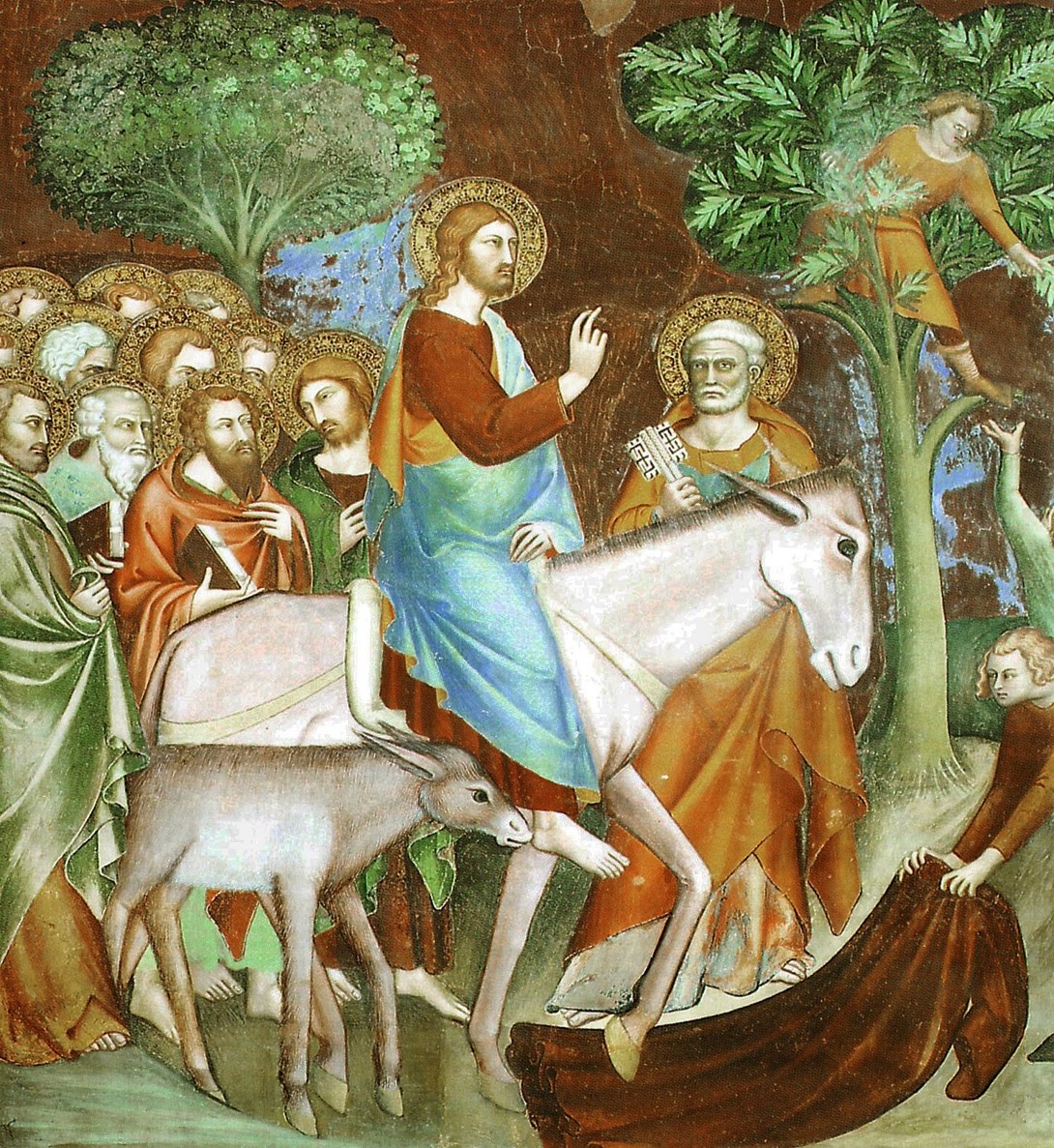 LiturgyTools.net: Pictures for the 6th Sunday in Lent (Palm / Passion ...
