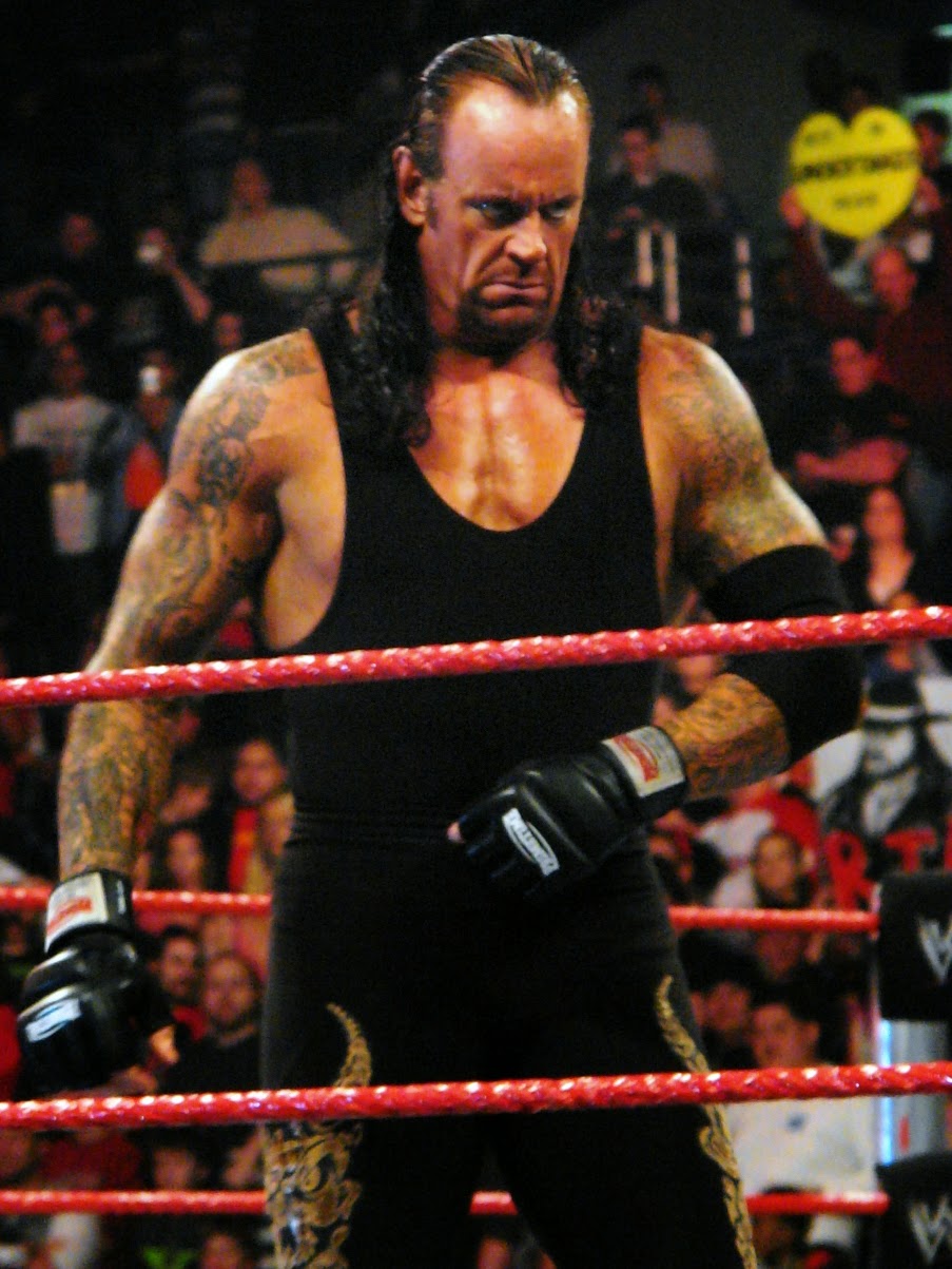 World Wrestling Entertainment: The undertaker