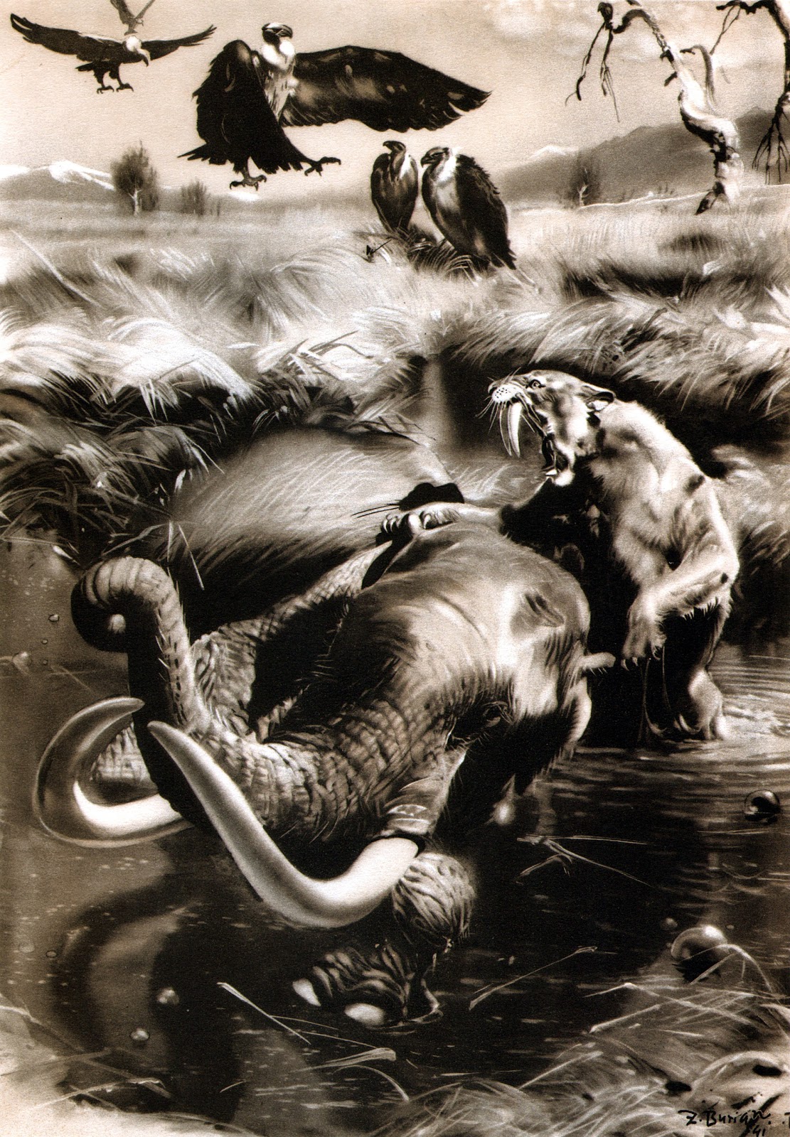 Zdeněk Burian: Smilodon and Archidiscodon