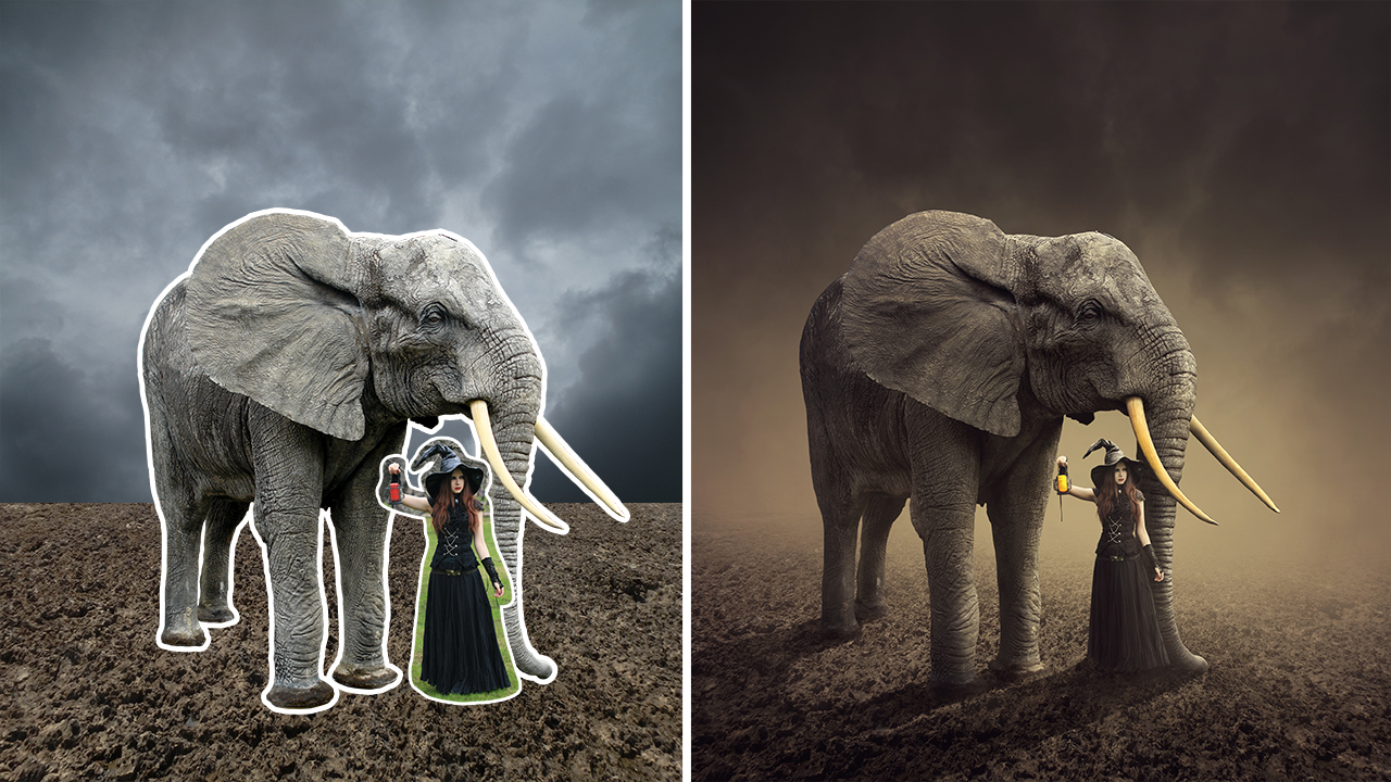 Digital Manipulation Photography