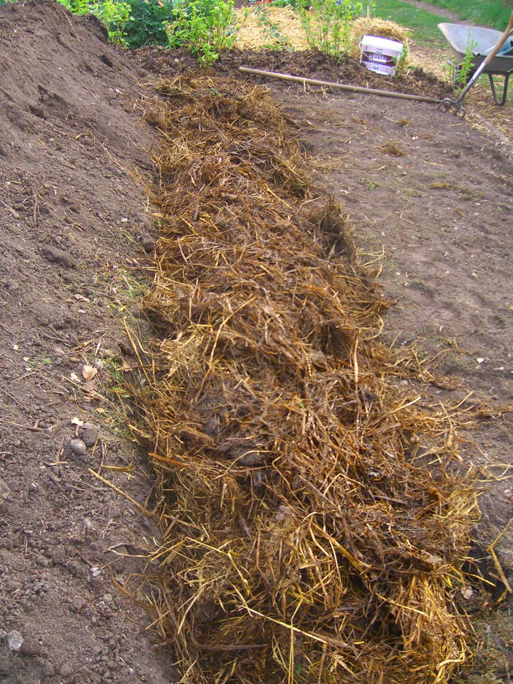 Allotment Garden: Trench Hugelkultur and hot bed.