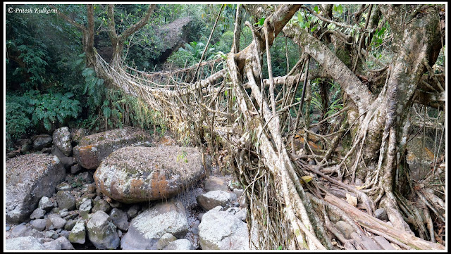 Travel blogs: Two Sisters State: Assam and Meghalaya: Part 1