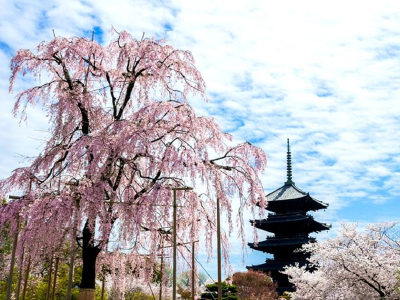 Toji Temple, Kyoto, Japan (with Map & Photos)