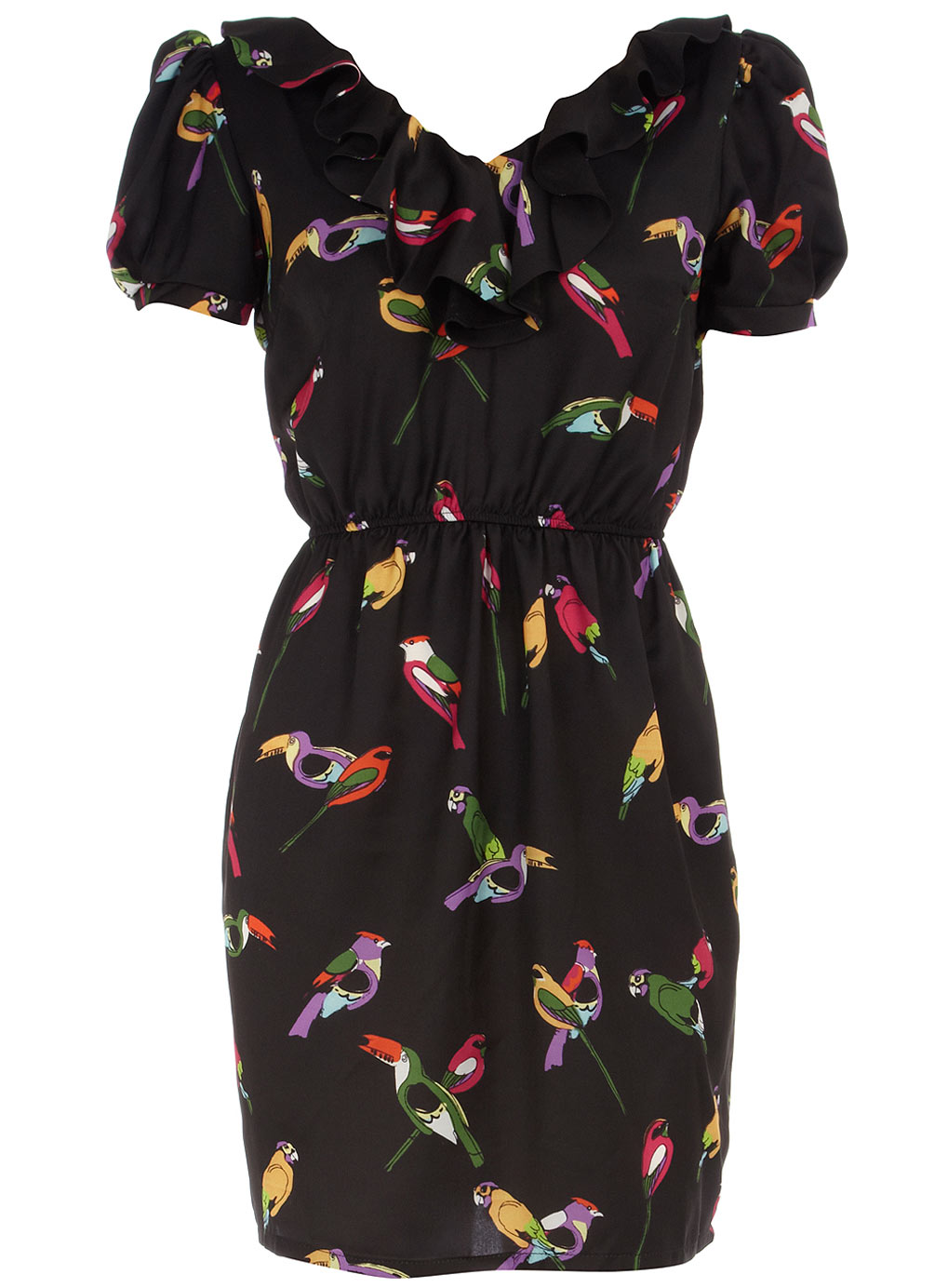 Kiwi's Angels: Dorothy Perkins Parrot Clothes