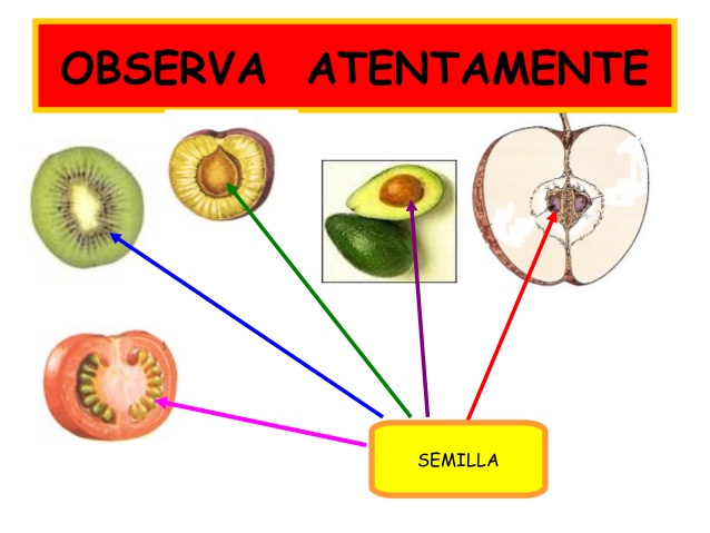 PROYECTO EUREKA: Lic. SANDRA PATRICIA. JIMÉNEZ O.: marzo 2017