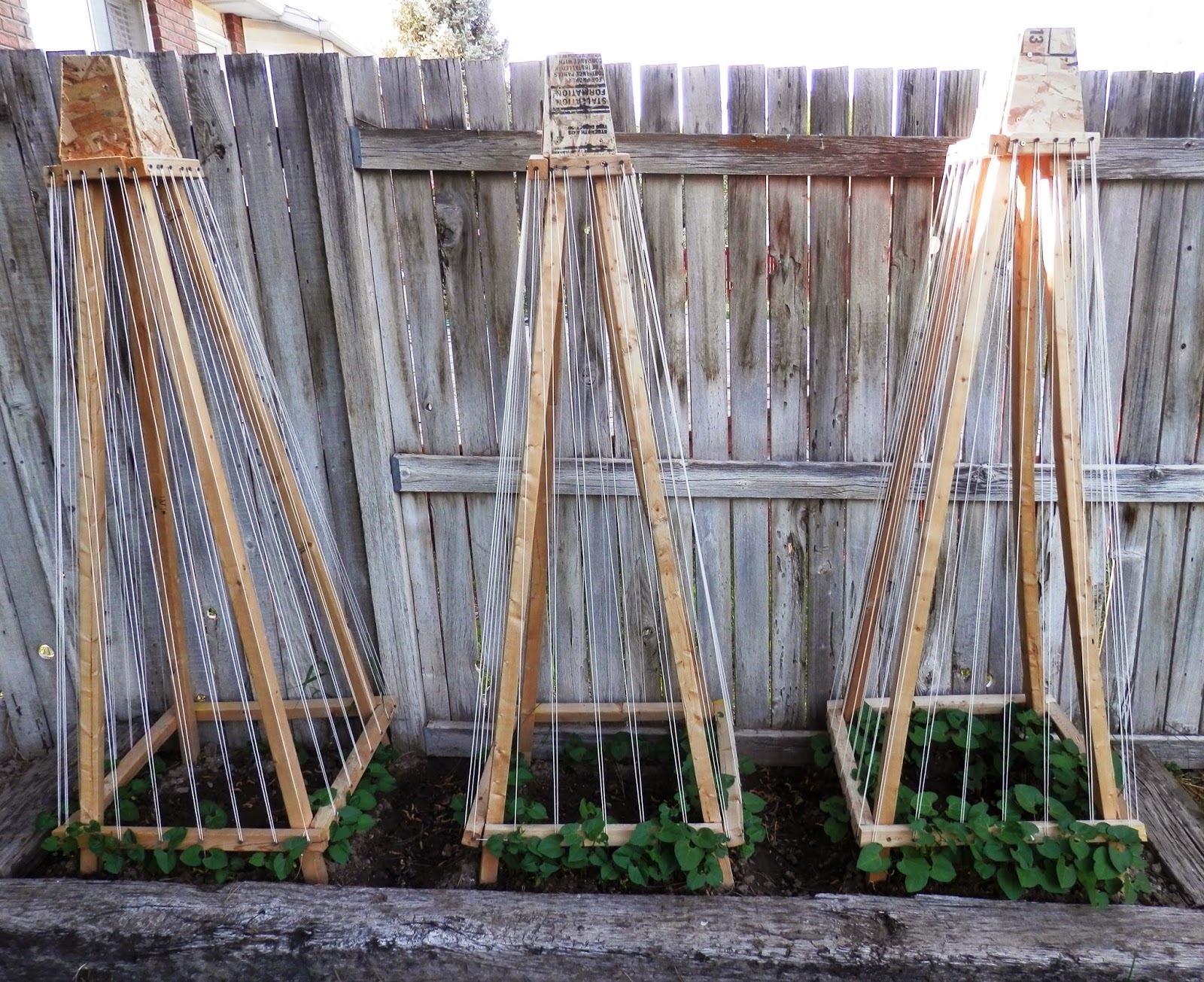 Knit Zilla: June 2014