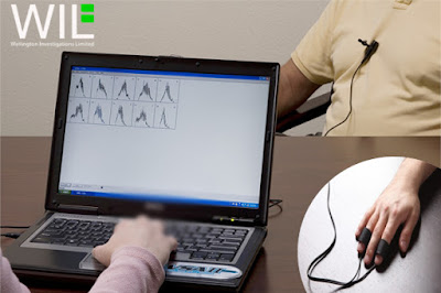 Wellington Investigations Limited: Explore some significant factors ...