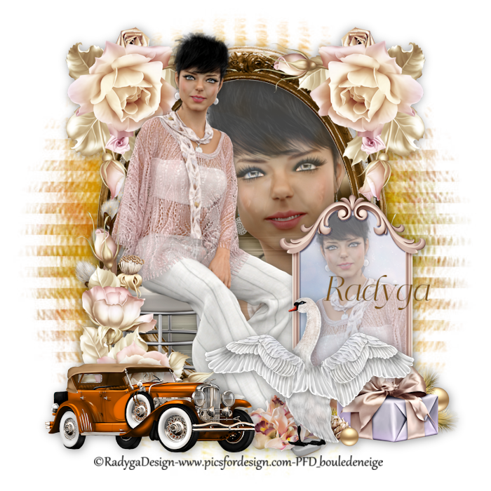 BOULEDENEIGE ET SES CT: CT RADYGA