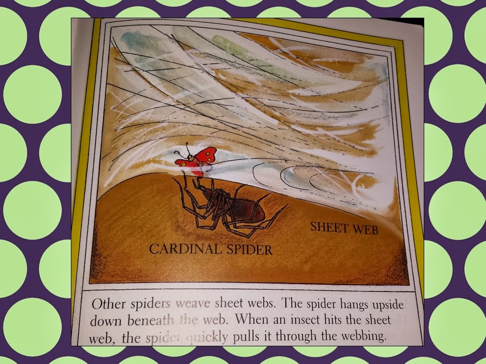 Collaboration Cuties: Science Must Read Mentor Text {Halloween Spiders}