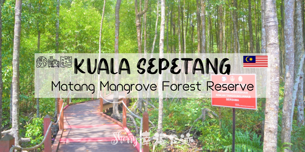 【十八丁】Matang Mangrove Forest Reserve | Sherry 幸福足迹