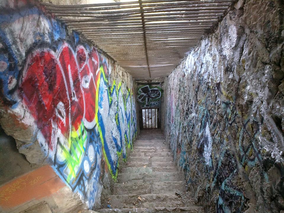 Evan Purcell: Haunted Zoo!