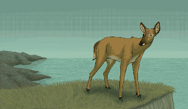 THE ONE-EYED DOE