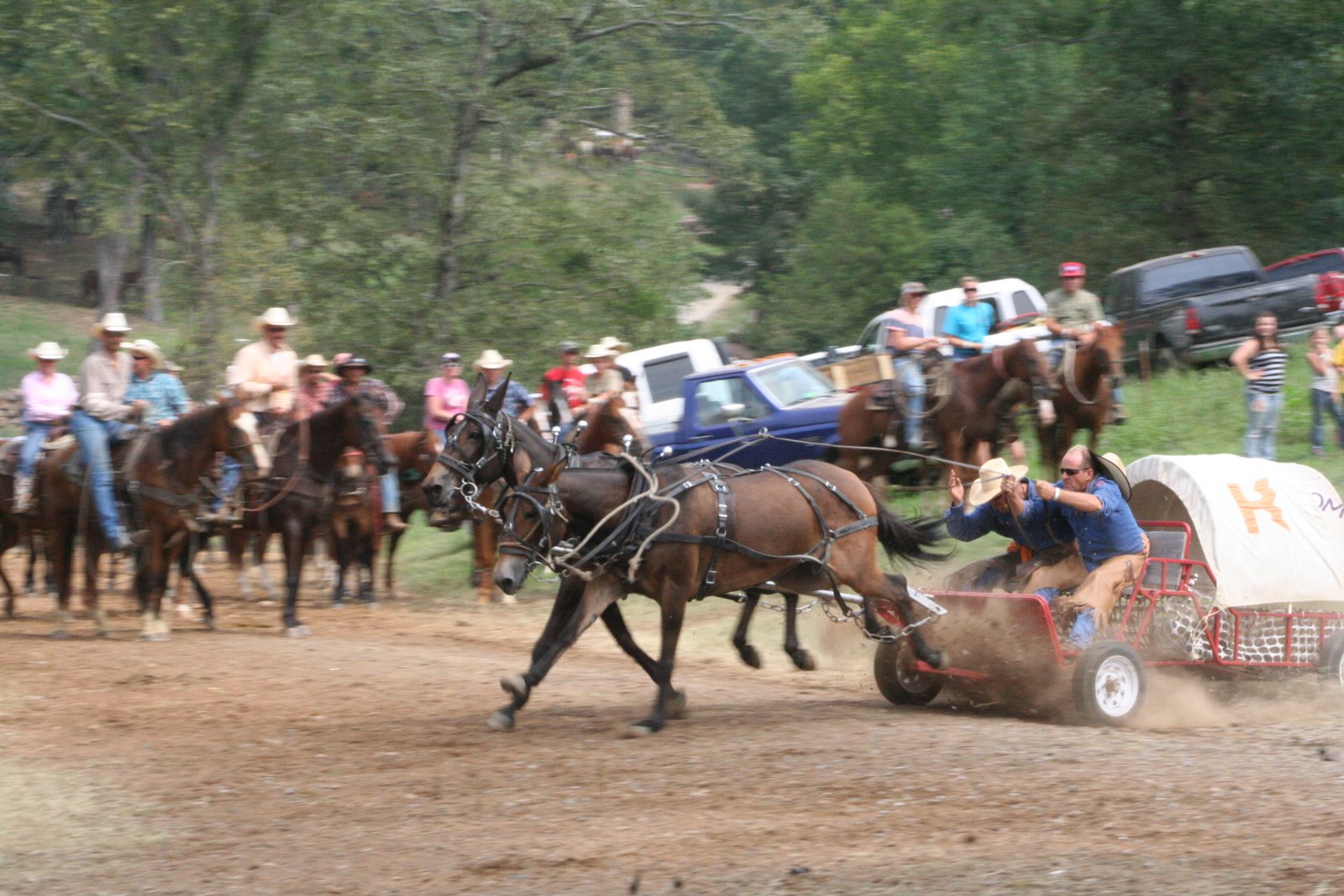PairADice Mules: Big Mule Race
