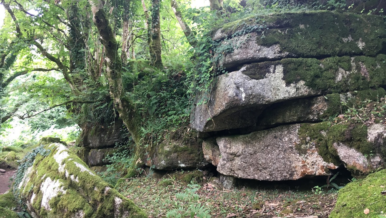 Max Piper - Tor Bagger: Dartmoor: The Two Lesser-Known Tors at Badgers Holt