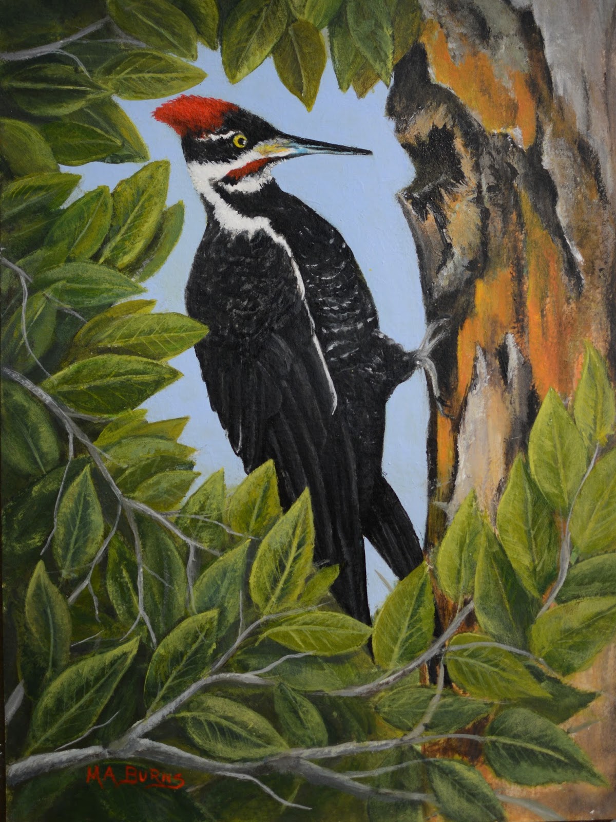 Painting the Pileated Woodpecker in Acrylic (7)