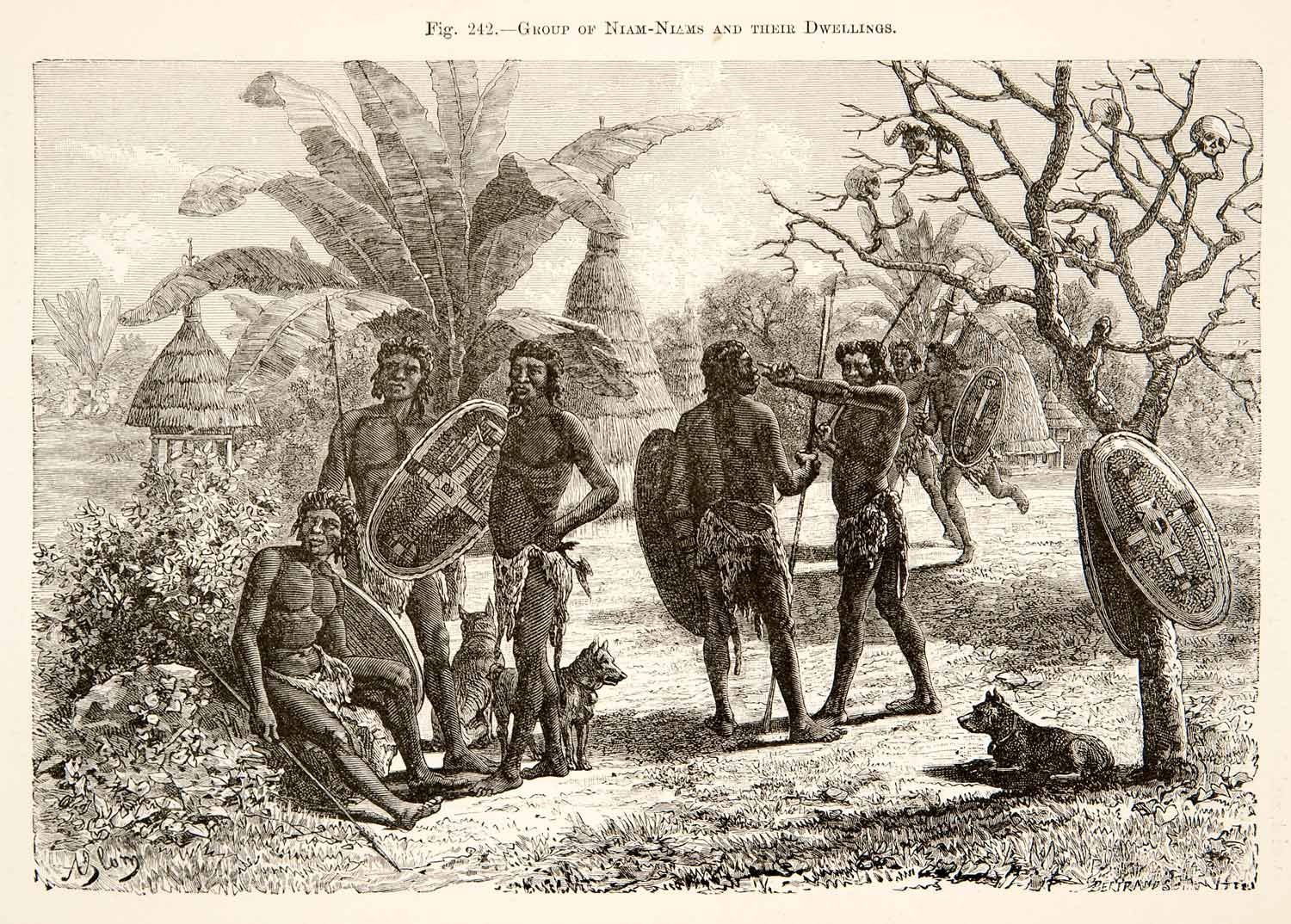 Antropologia, cultura e sociedade: Bruxaria oráculo e magia entre os ...