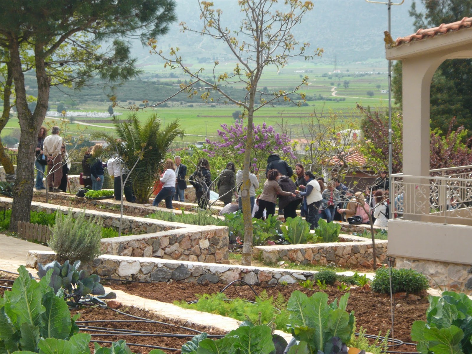 ΣΧΟΛΙΚΟΙ ΛΑΧΑΝΟΚΗΠΟΙ : ΟΙ ΚΗΠΟΙ ΤΩΝ ΣΧΟΛΕΙΩΝ ΤΗΣ Δ/ΣΗΣ Β/ΘΜΙΑΣ ΕΚΠ/ΣΗΣ ...