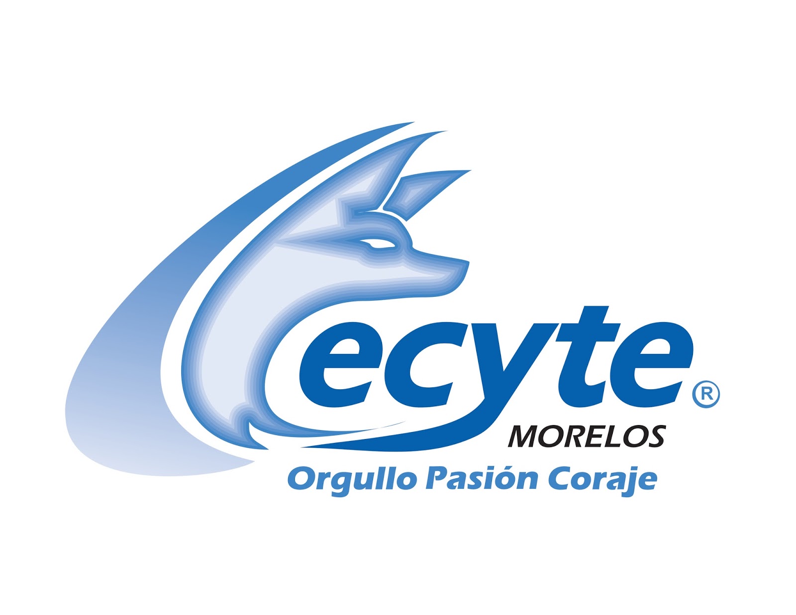 Imagenes De Cecyte Logo