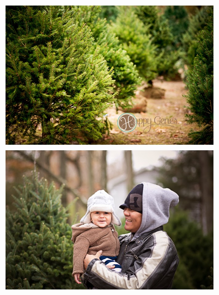 happy-genes-tree-farm-scouting