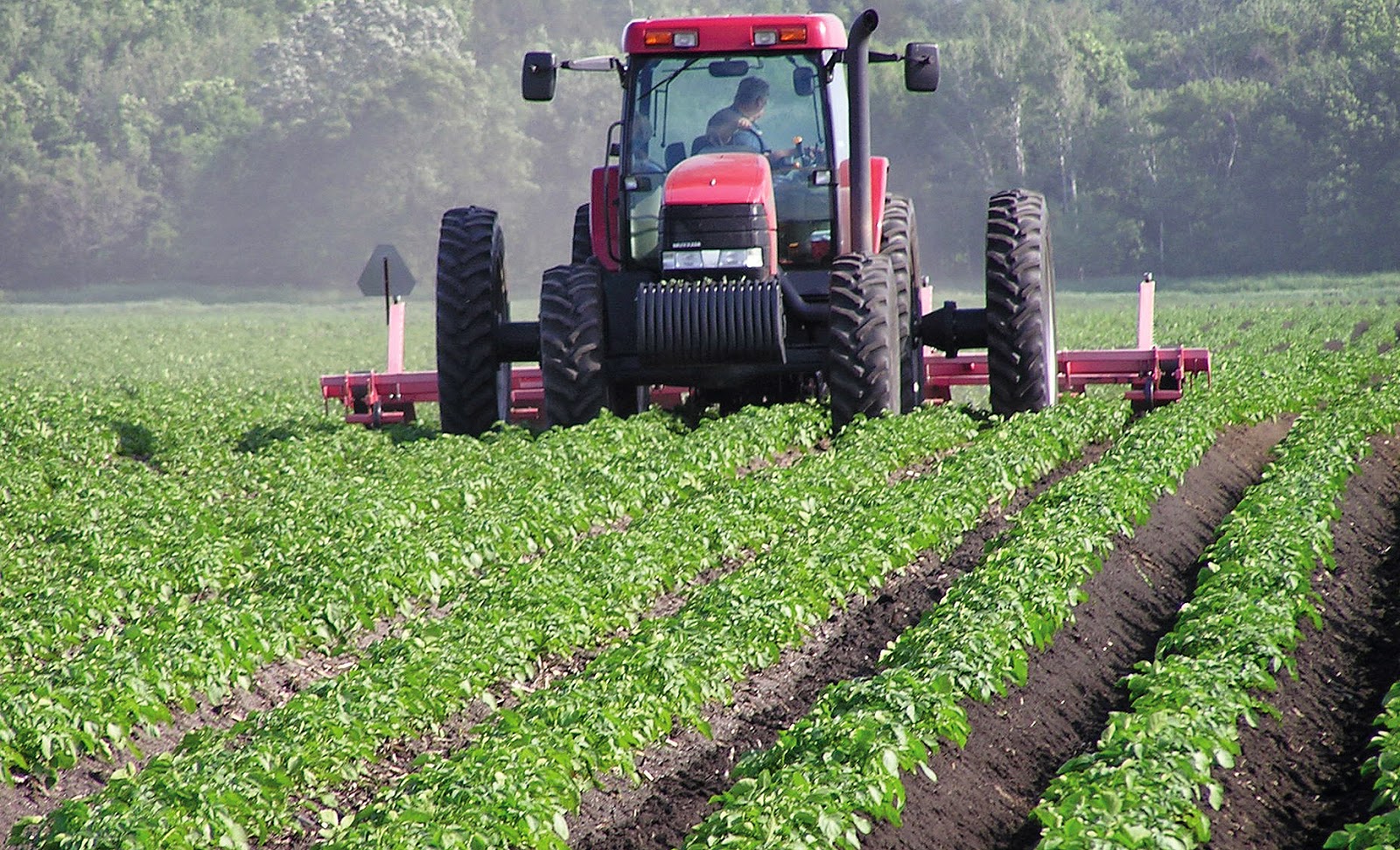 PRAGRO (PROGRES PAR L'AGRICULTURE): AGRICULTURE INTENSIVE
