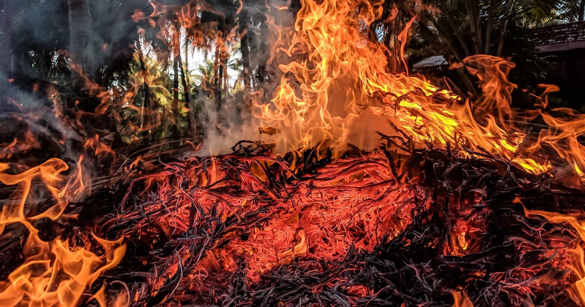 The Amazon Forest Fire causes deforestation and drought - A new Study ...