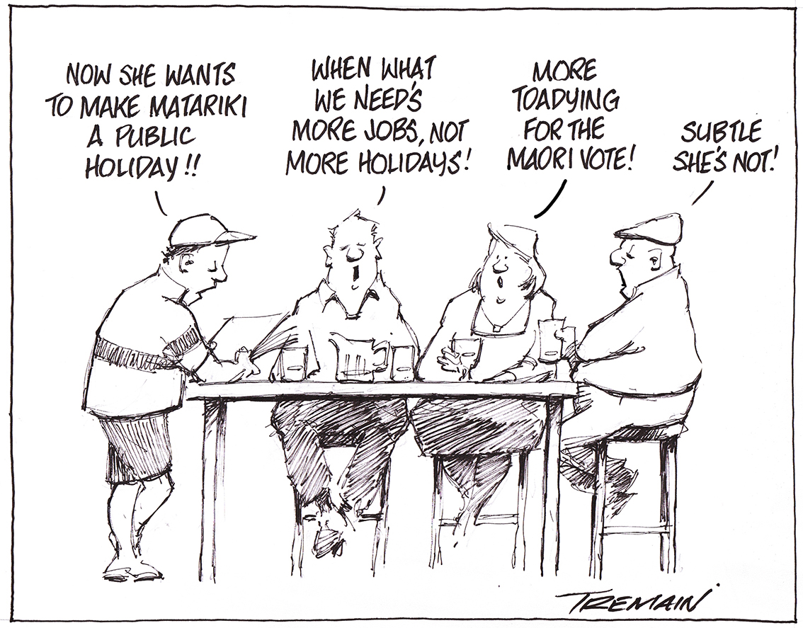 Breaking Views: Garrick Tremain: Matariki