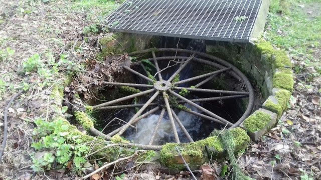 The Fascinating History of the Eel Trap