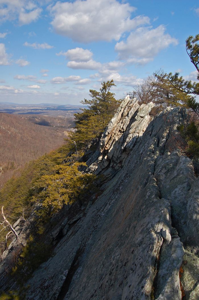 Windy Day on Buzzard Rock