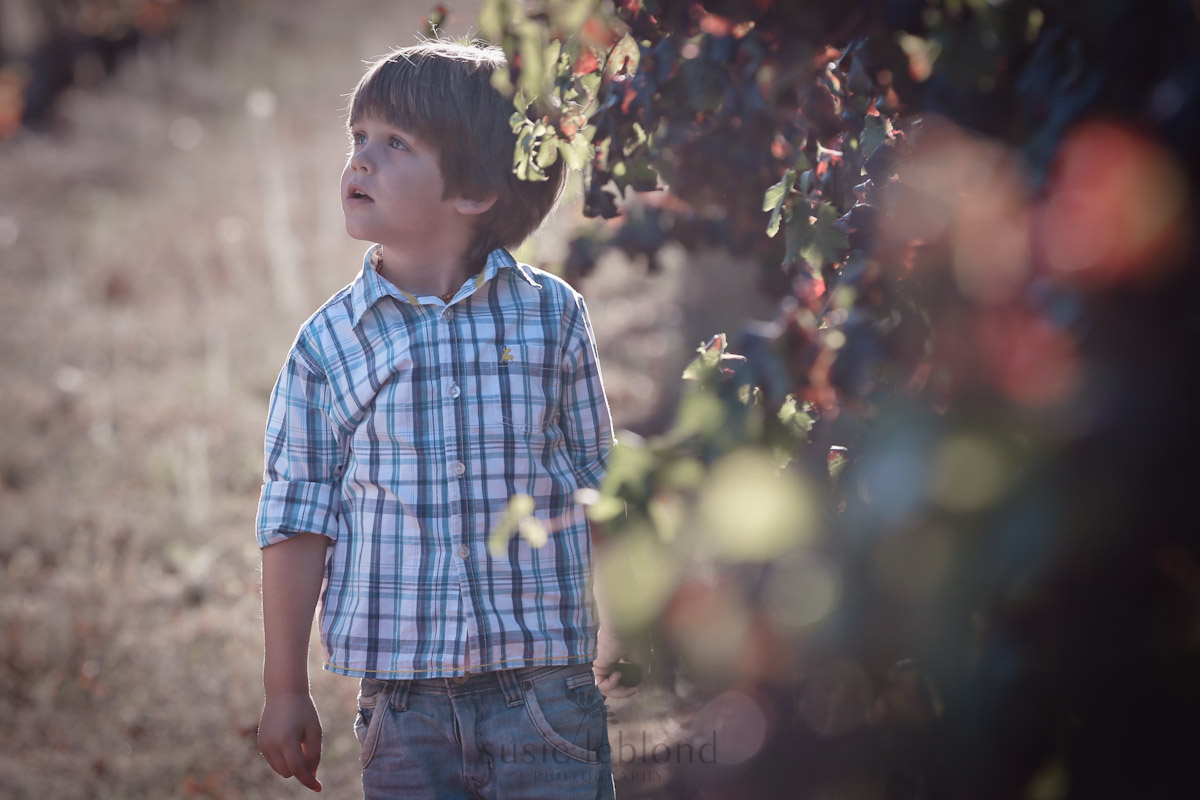 susie leblond photography: Hardiman Family