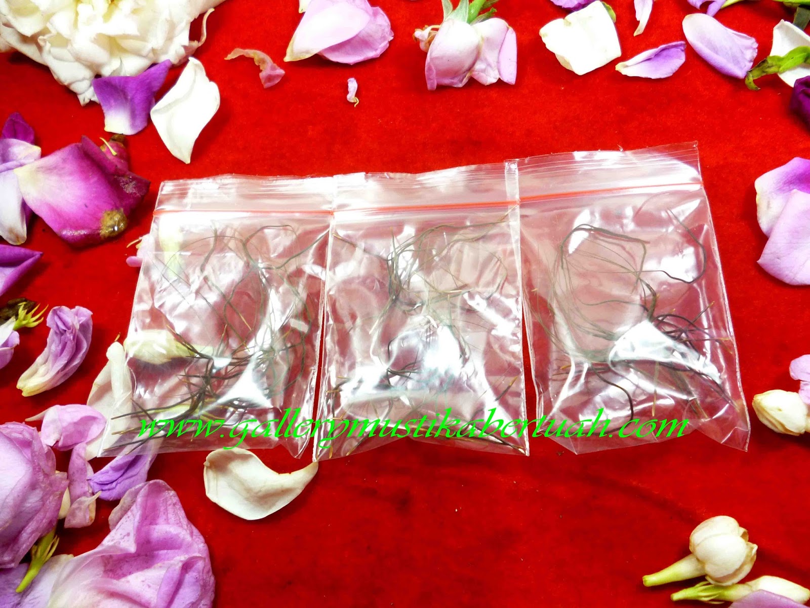 Bulu Perindu Asli ~ PUSAKA GUNUNG JATI