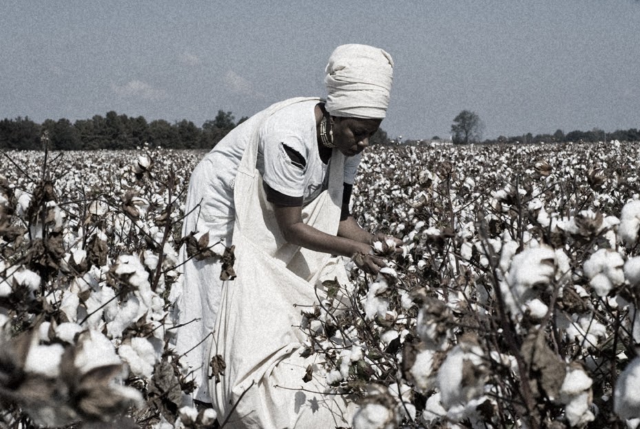Dr. Antoinette Harrell's Genealogy Research and Humanitarian Work in ...