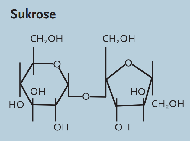 Viden om - Fordøjelsessystemet: Kulhyrater
