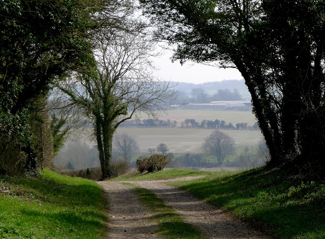 East Stratton Brown Candover